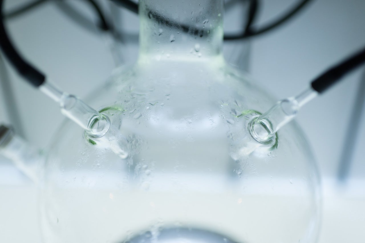 Artist Invents A Machine To Create Life From Scratch - Fast Company