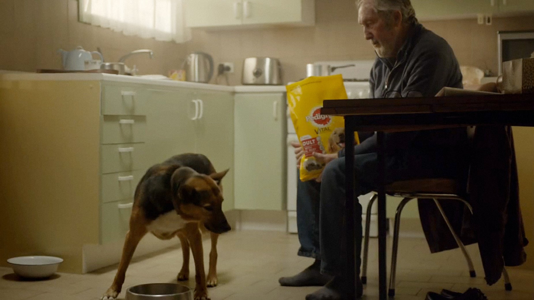 Dogs Bring Out The Best In Humanity In This Sweet Pedigree Campaign ...