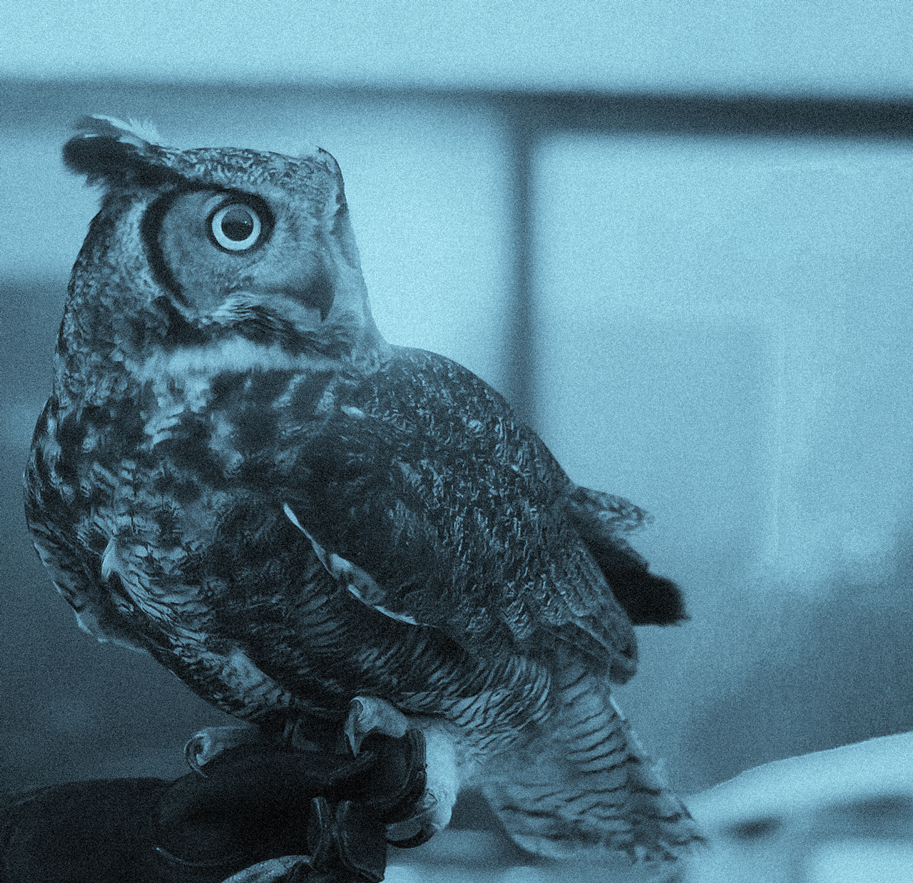Morning People Vs. Night Owls: 9 Insights Backed By Science - Fast Company