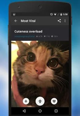 Imgur Brings Its Trove Of Memes And Cat GIFs To Android - Fast Company
