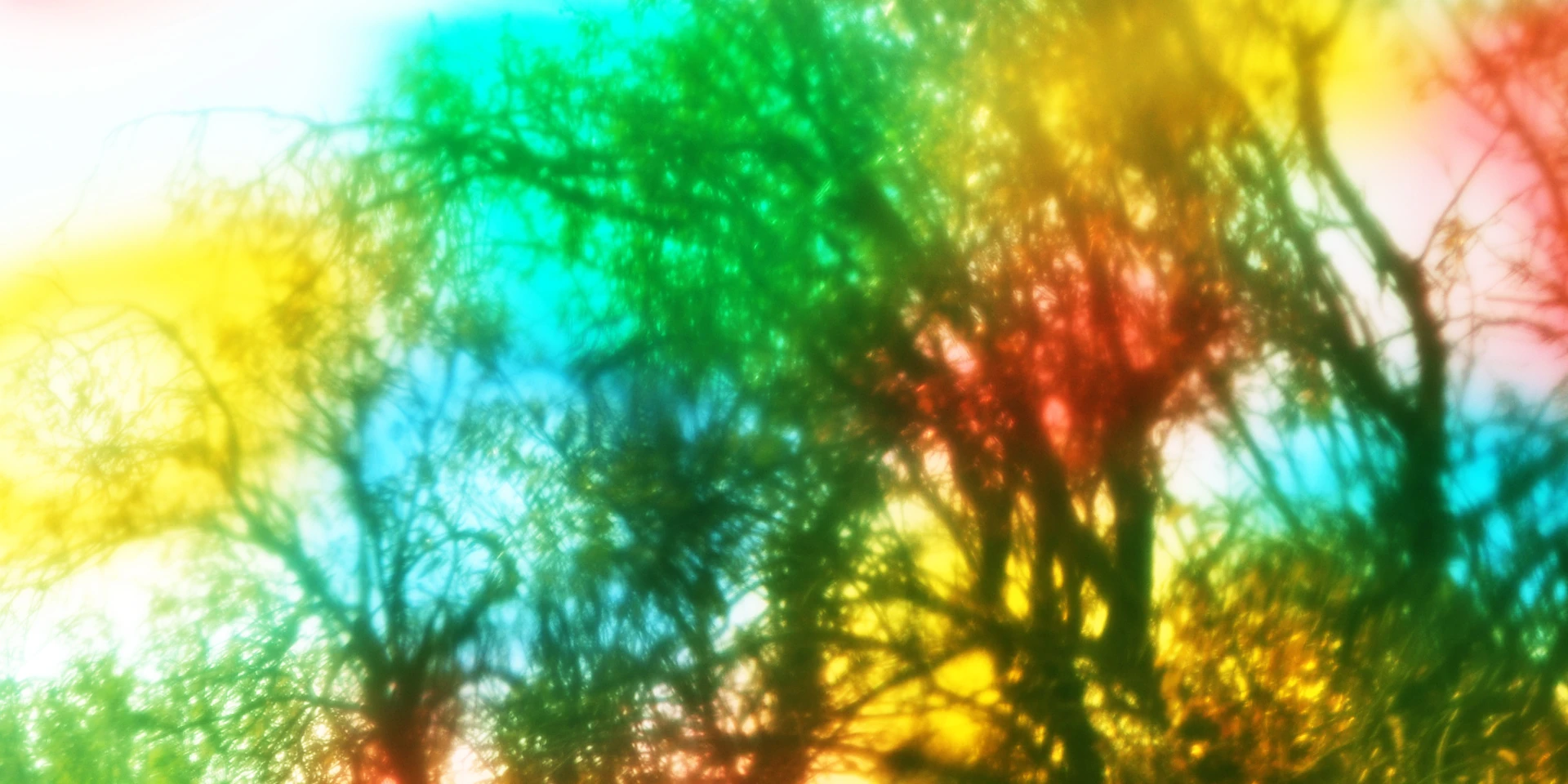 How To Convince Your Boss To Give You Every Friday Off, Forever - Fast ...