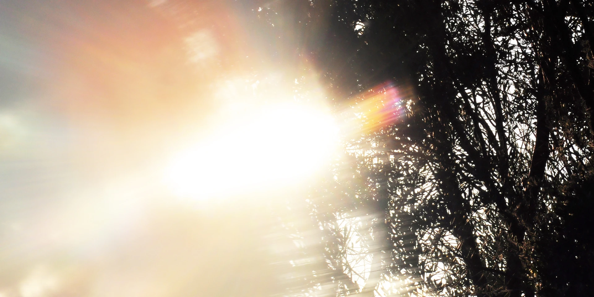 How To Convince Your Boss To Give You Every Friday Off, Forever - Fast ...