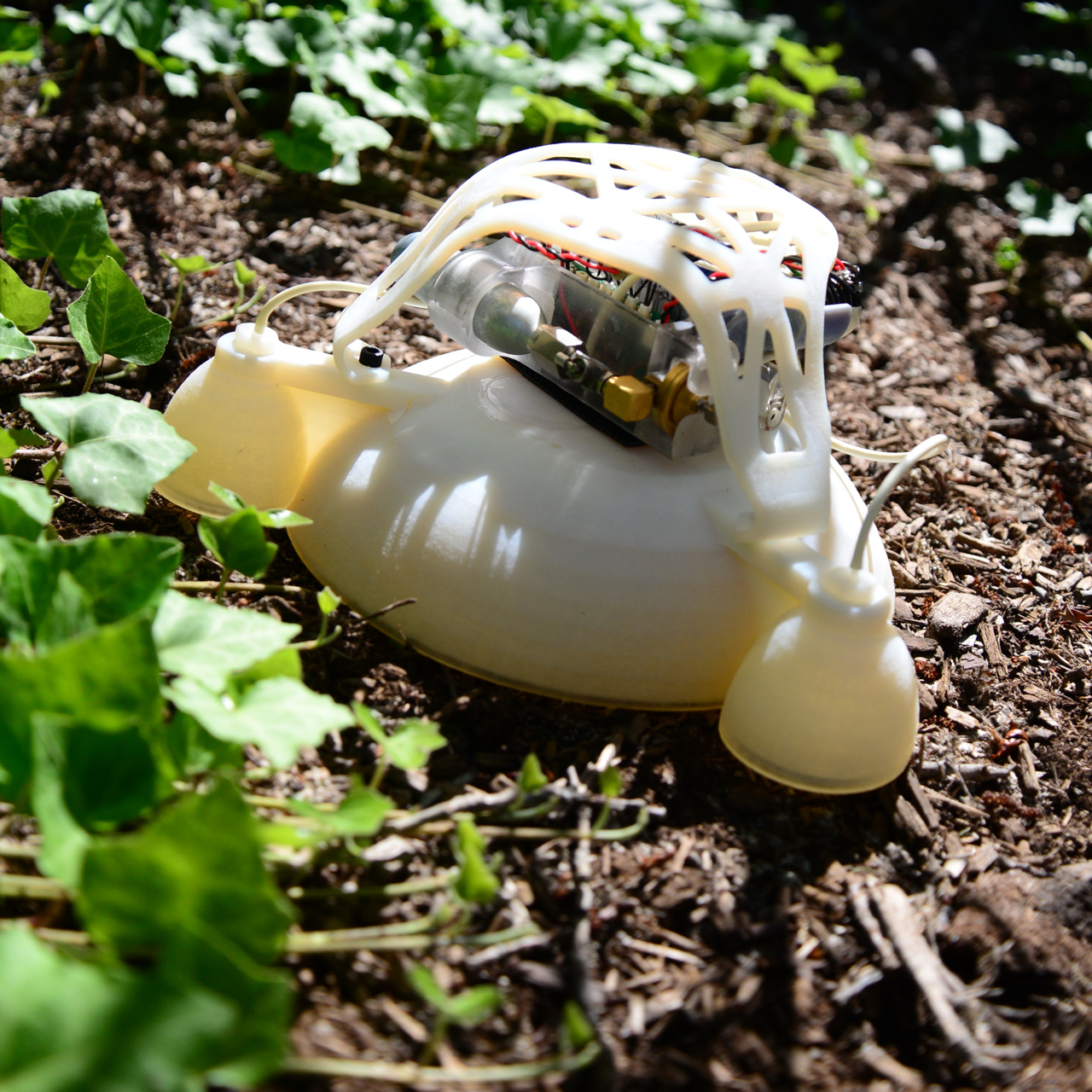 These Virtually Indestructible Leaping Robots Are Powered By Explosions ...