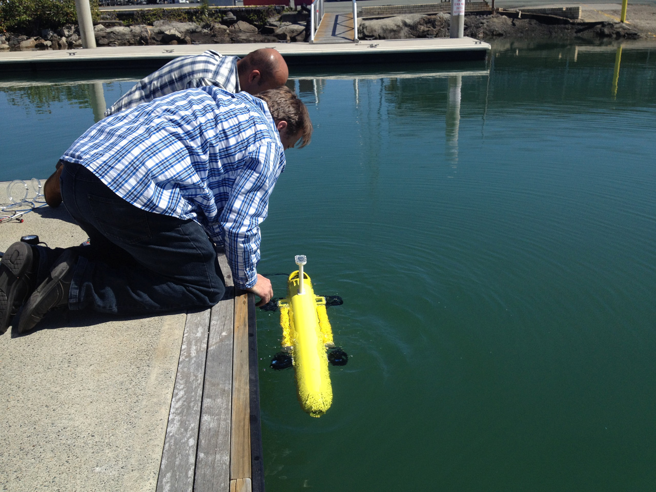 Watch This Robot Submarine Hunt And Kill Reef-Destroying Starfish ...