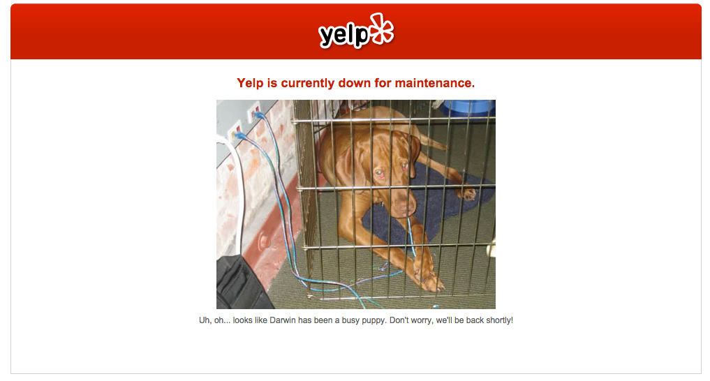 What's Up With Yelp's Creepy Error Page Photo? - Fast Company