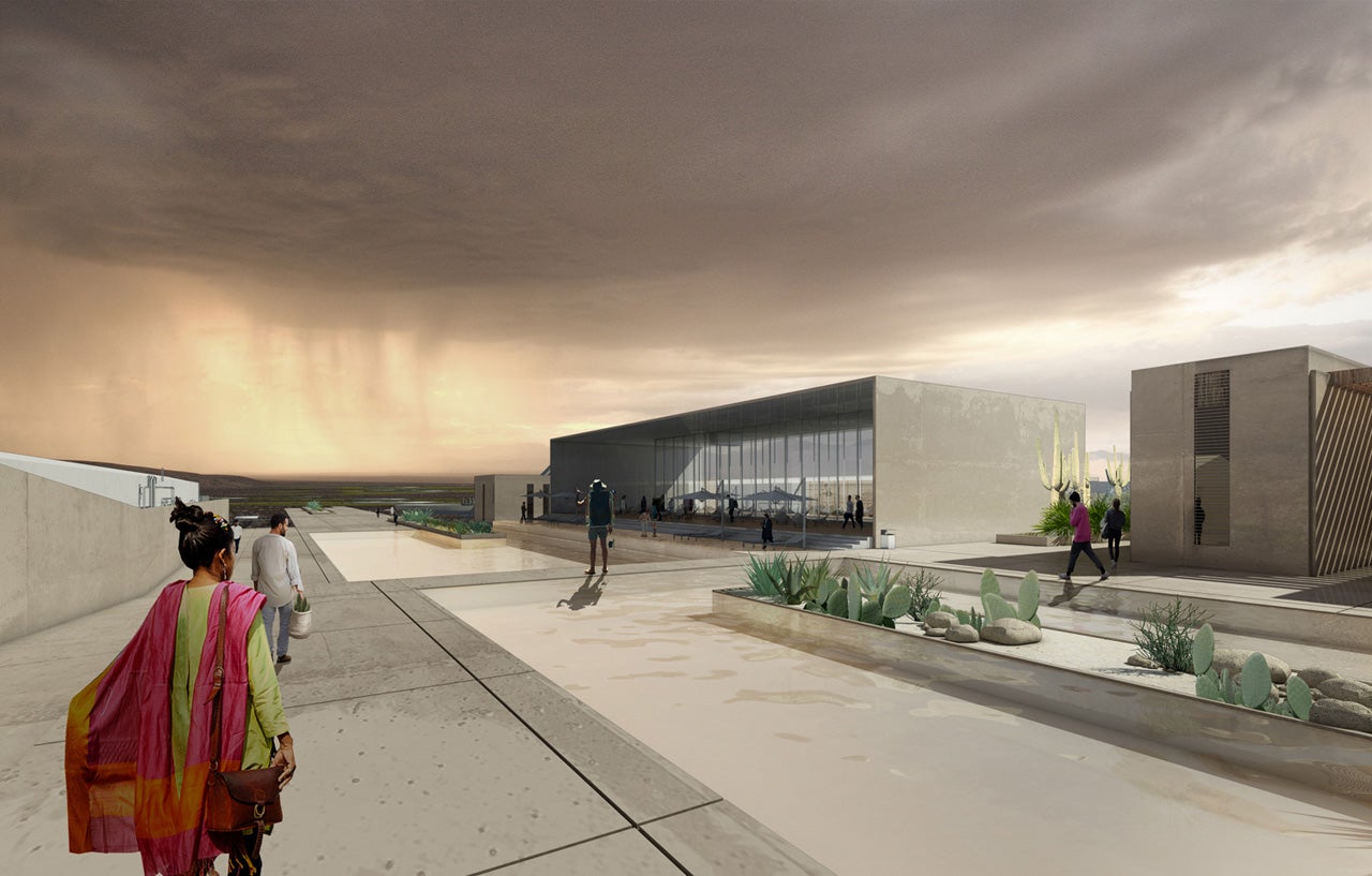A Radical Way To Rethink Resource Efficiency Starts With...Cacti ...