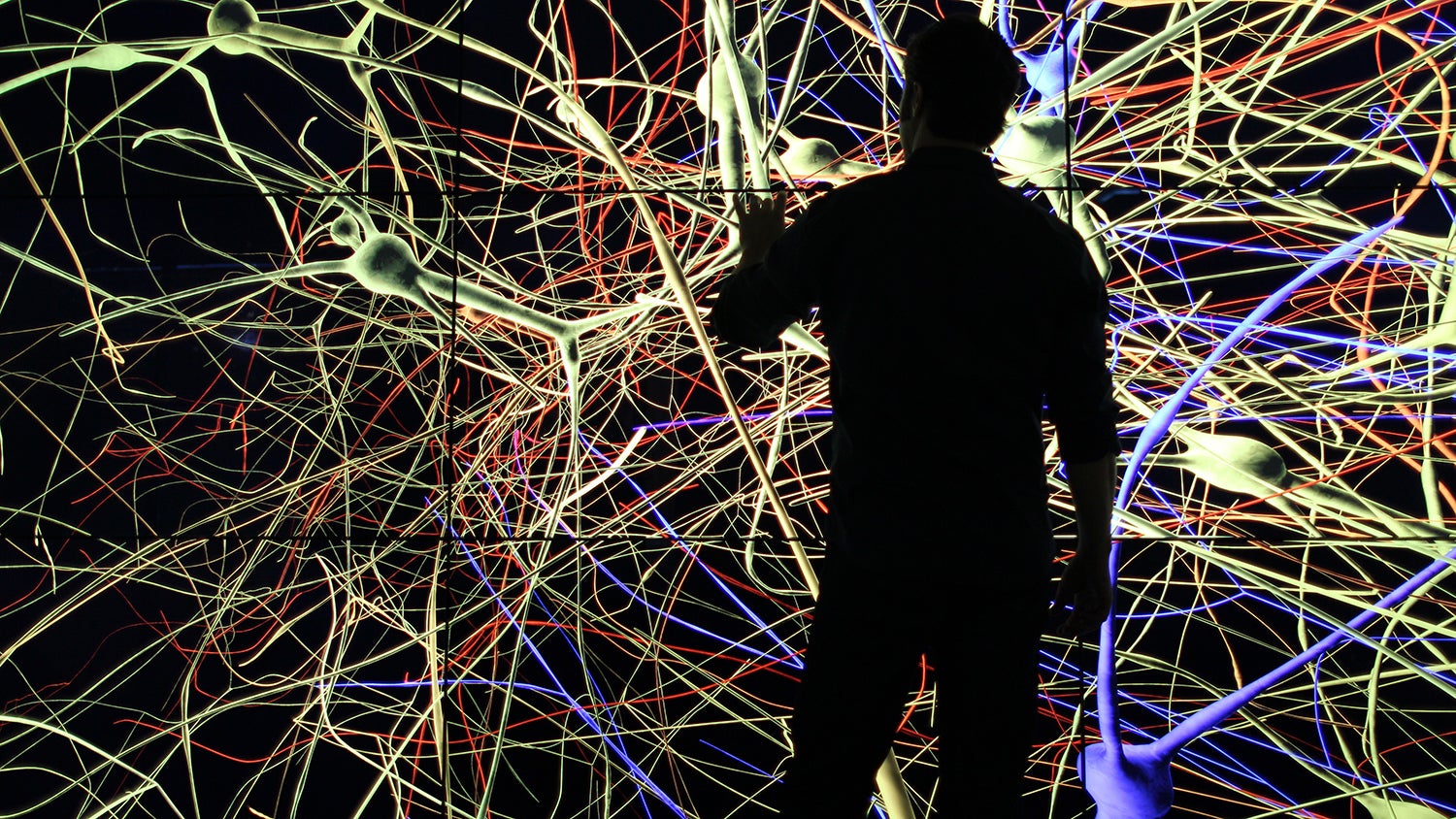 Probing The Brain: Three New TV Specials Look At What Makes Us Who We ...