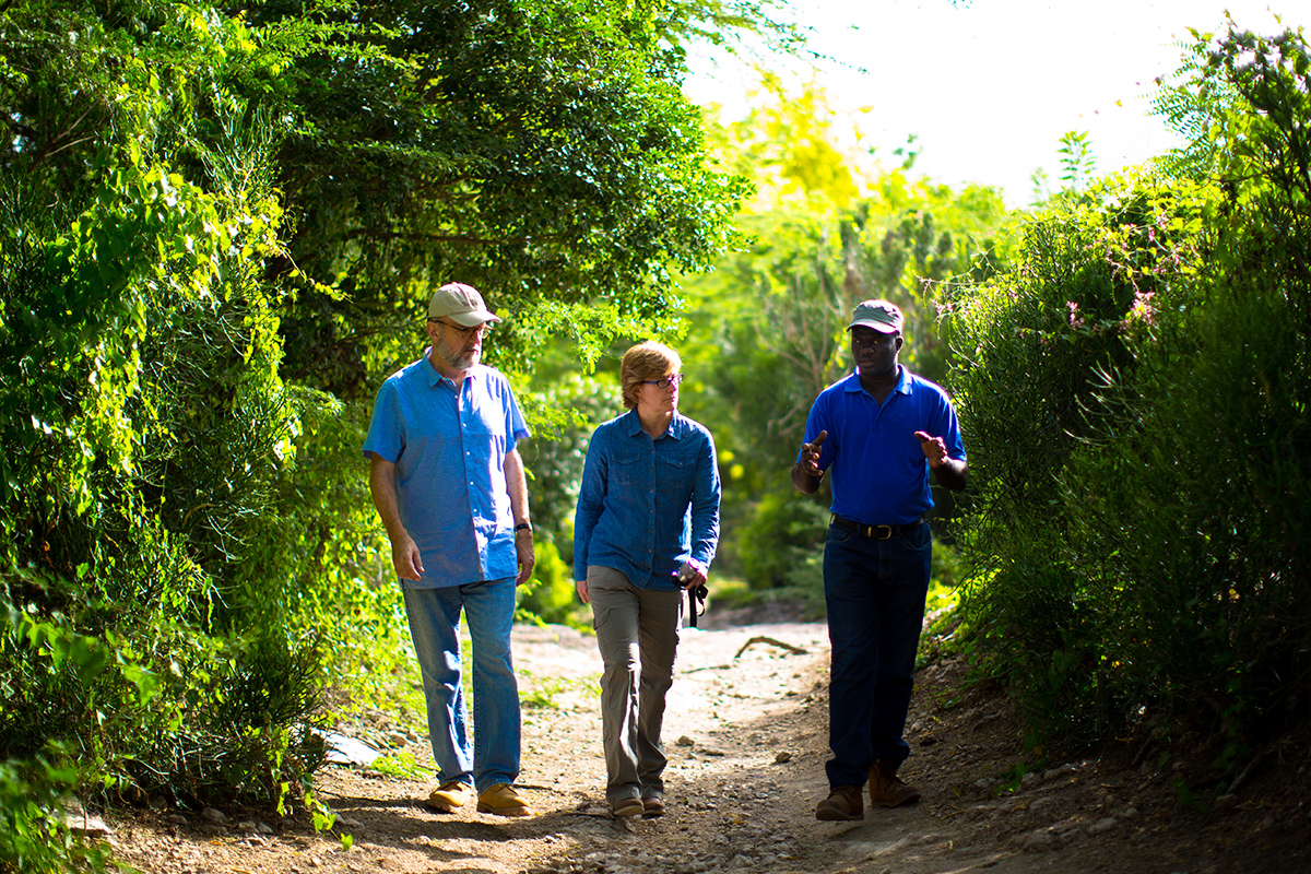 Why Timberland Made A Documentary To Share Its Haitian Tree-Planting ...