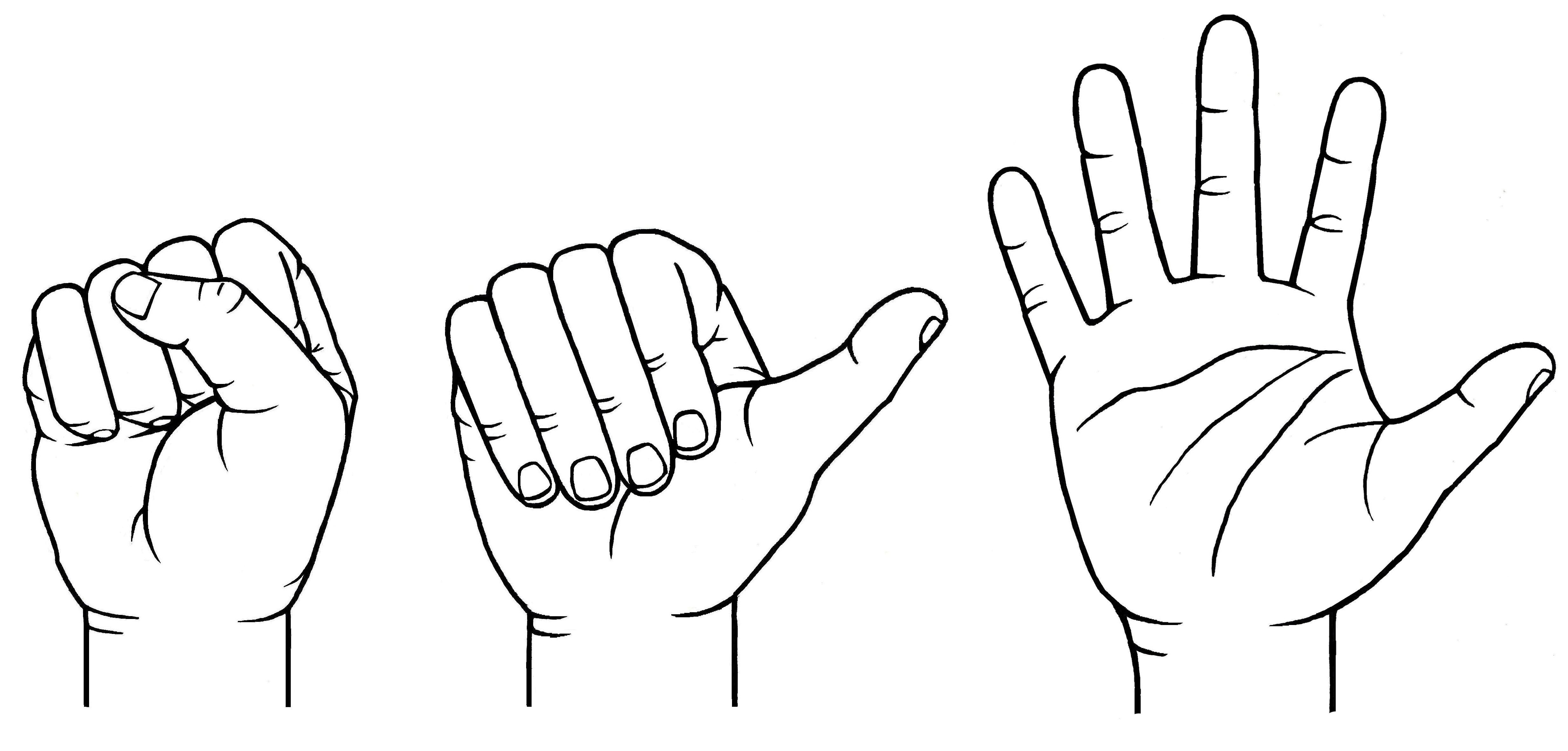 The Theory That Human Fists Evolved For Punching Is Put To A Macabre ...