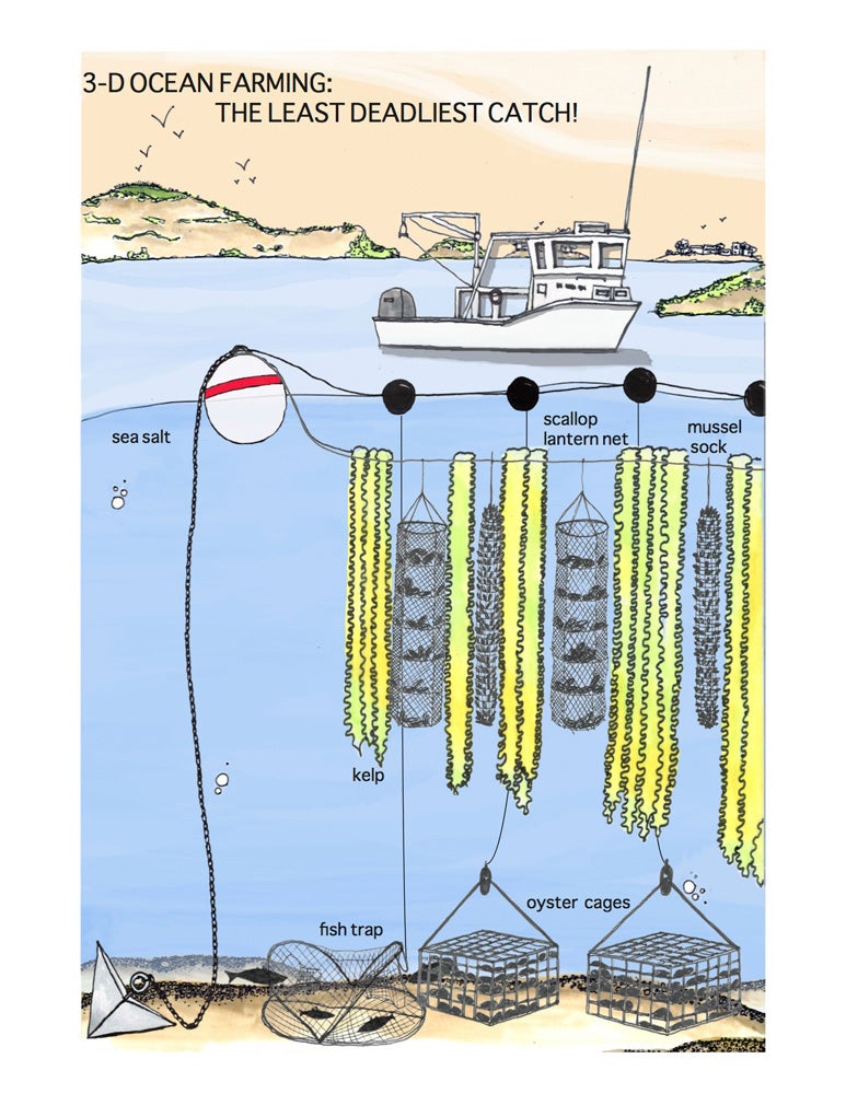 Vertical Seaweed Gardens Are The New Way To Feed Ourselves From The ...