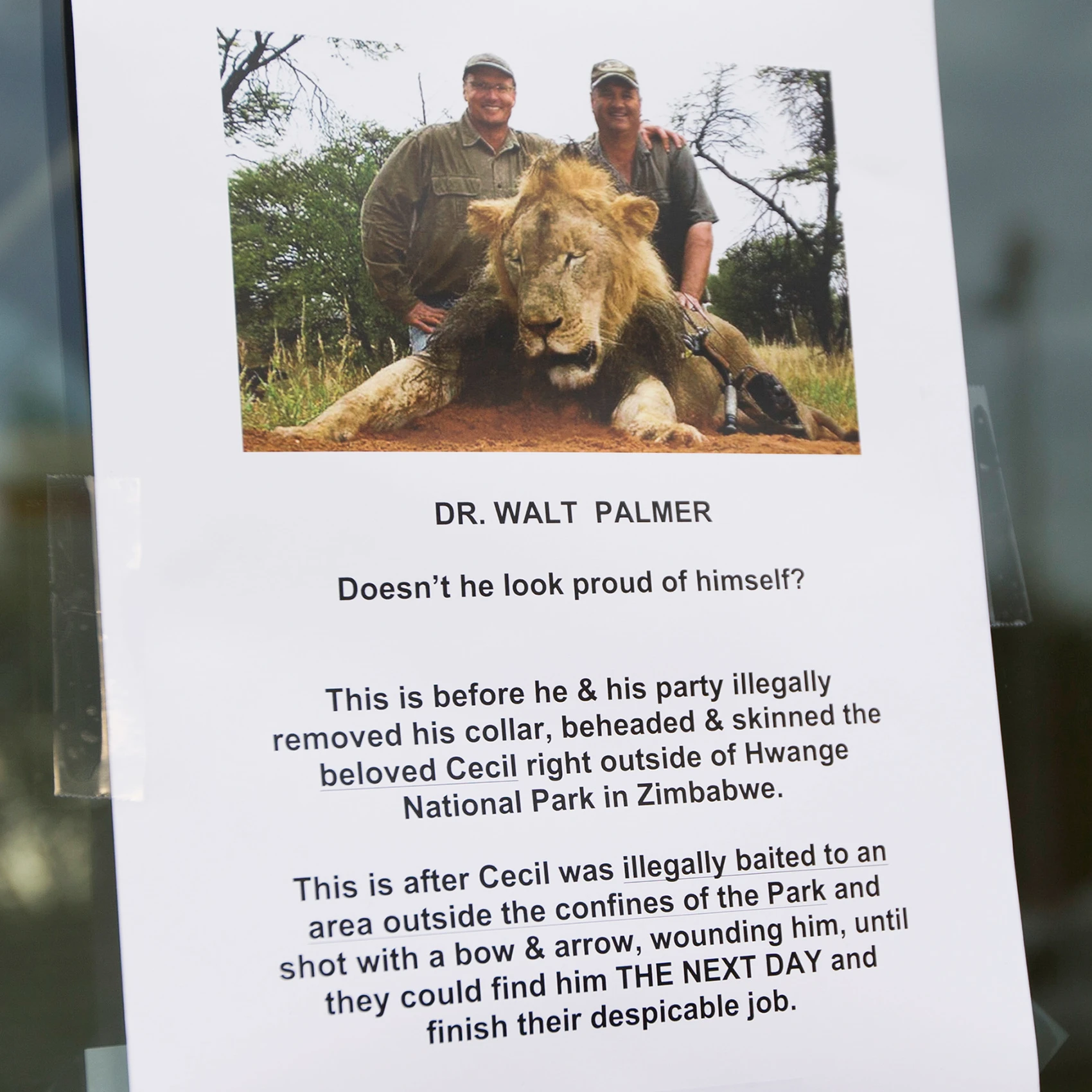 Abercrombie & Kent’s Geoffrey Kent on Cecil the Lion’s legacy - Fast ...