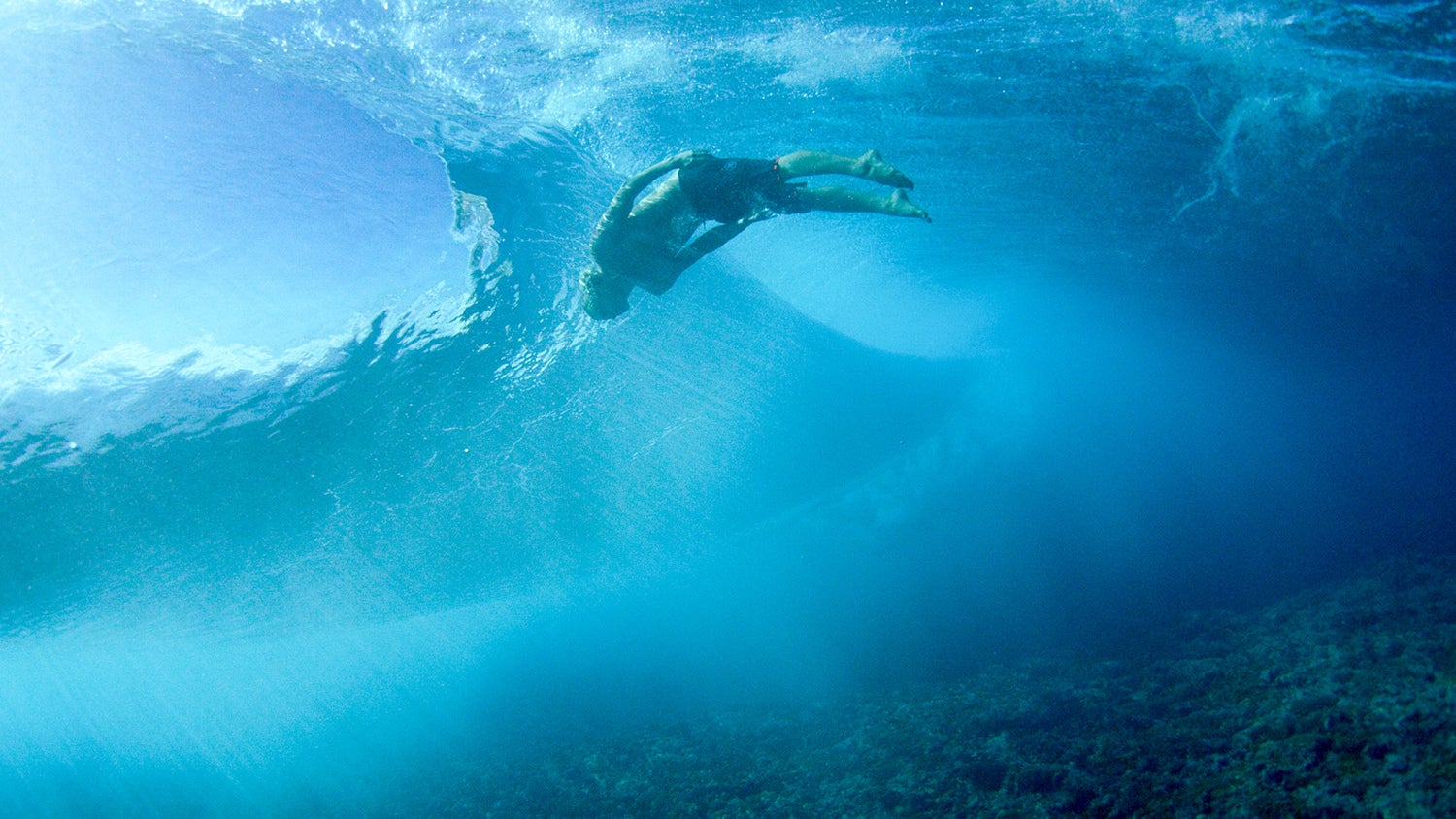How "View From A Blue Moon" Became The Top Selling Surf Movie Of All ...