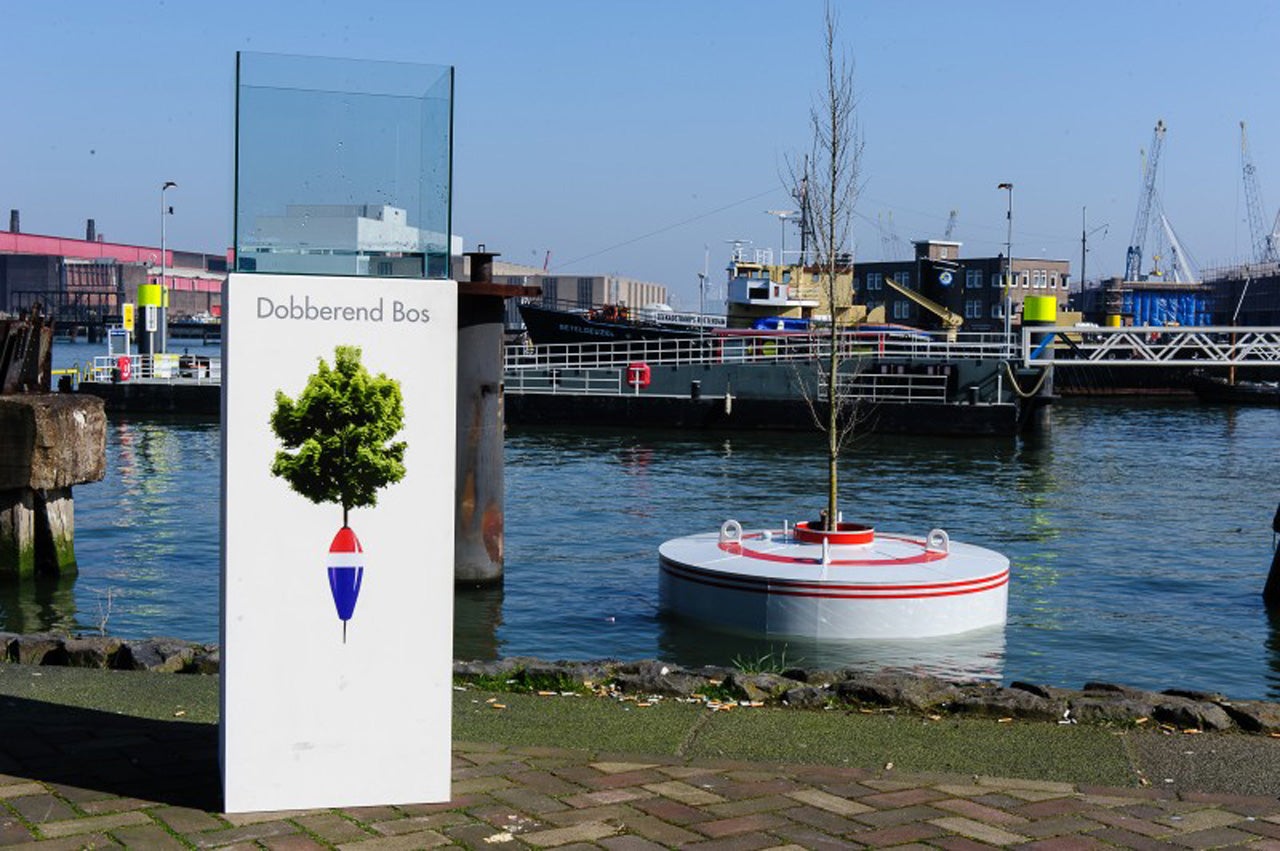 This Forest Will Grow Floating In Rotterdam's Harbor - Fast Company