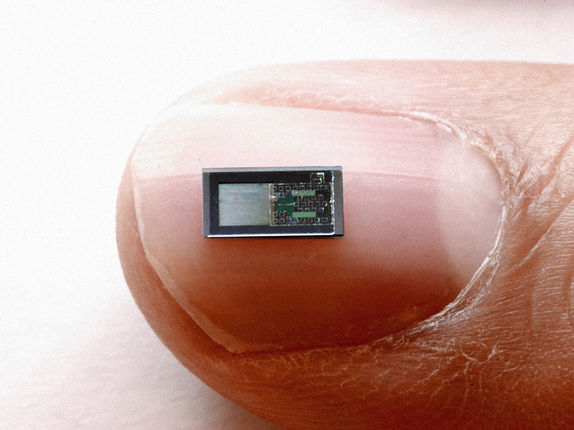 This Tiny Sensor Dissolves In Your Brain After Its Job Is Done - Fast ...