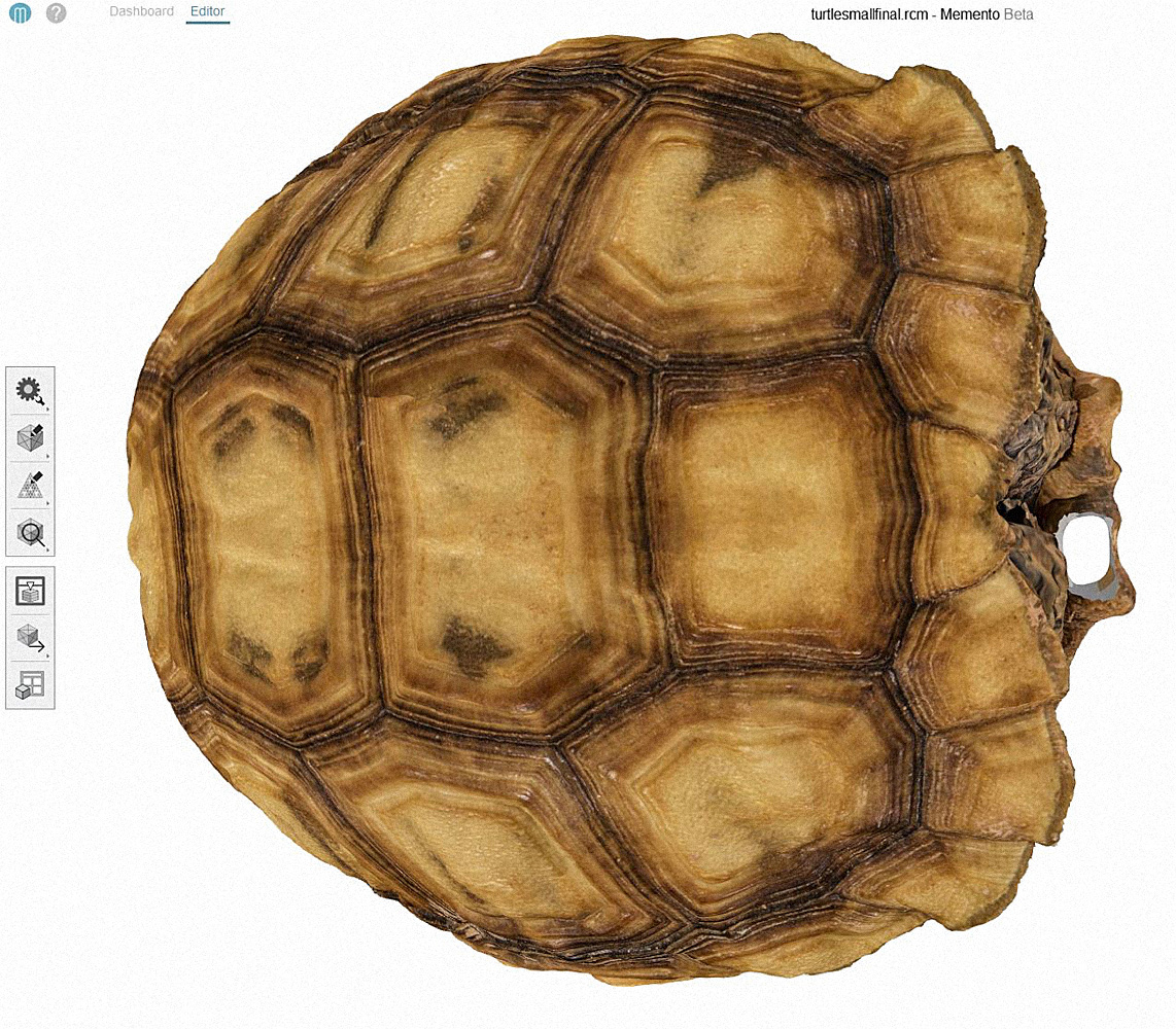 3-D Printed Shells Help Tortoises Survive Hostile Desert Life - Fast ...