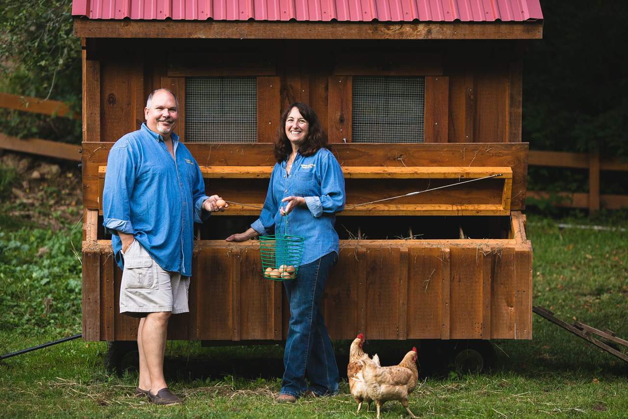 Pasture-Raised Eggs: A New Label For Chickens That Really Do Live ...