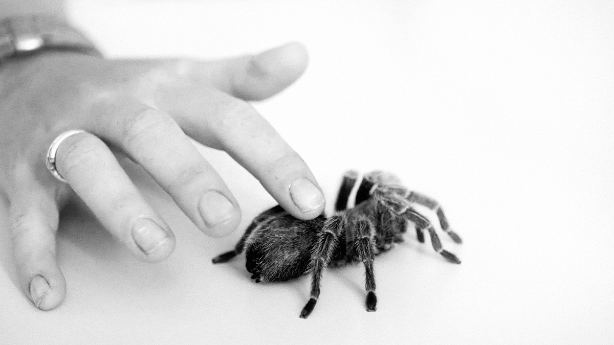 PBS Doc "Memory Hackers" Shows The Future Of Memory Manipulation - Fast Company