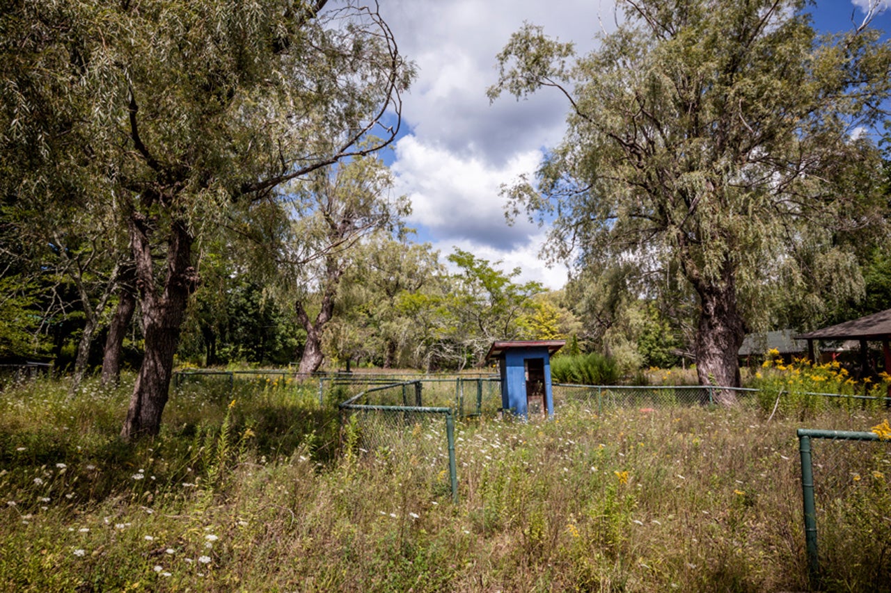 These Photos Of An Abandoned Wildlife Park Show How Badly We Used To ...