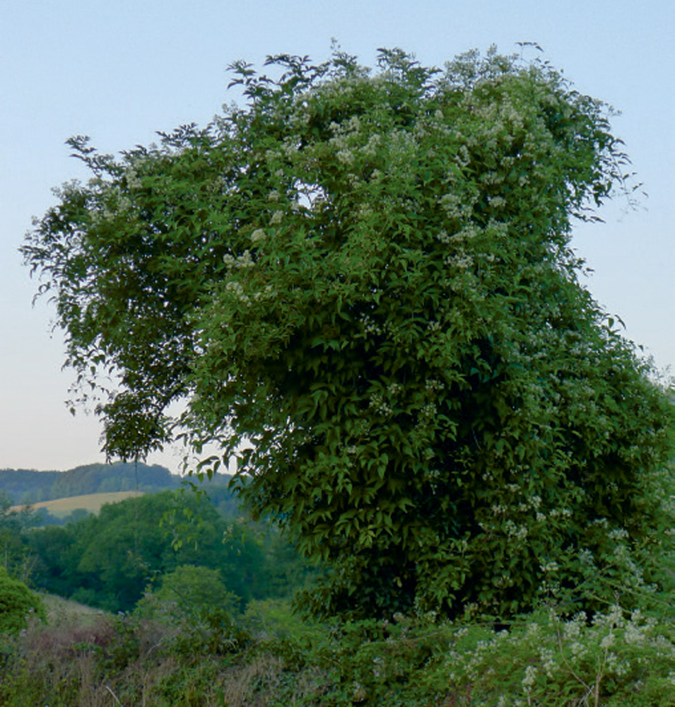 10 Exercises To Fuel Creative Thinking - Fast Company