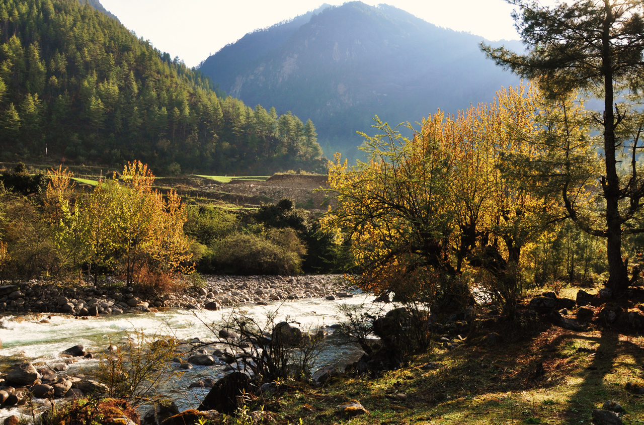 How The Tiny, Poor Country Of Bhutan Became One Of The Most Sustainable ...