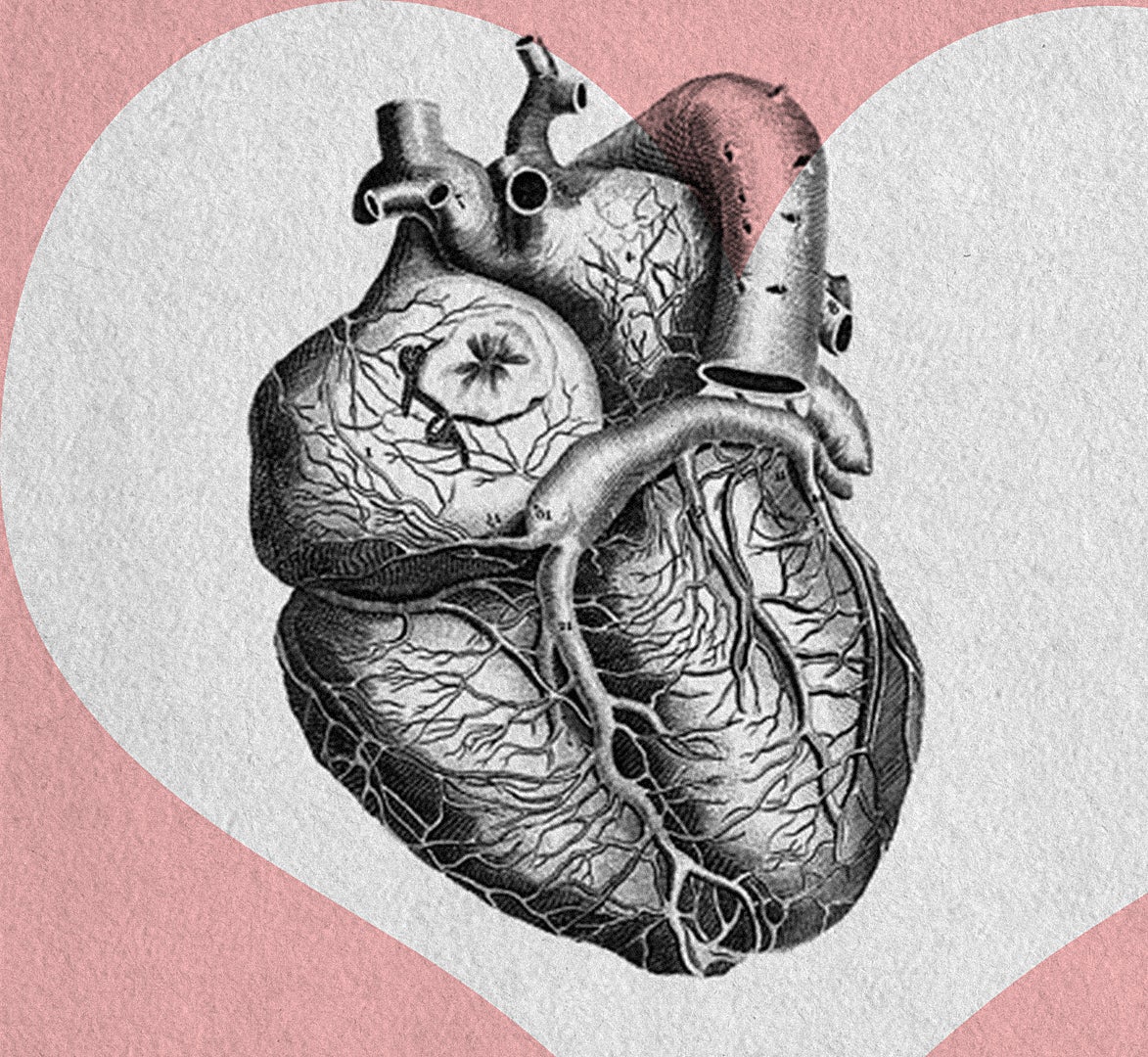 Scientists Grow A Human Heart From Stem Cells - Fast Company
