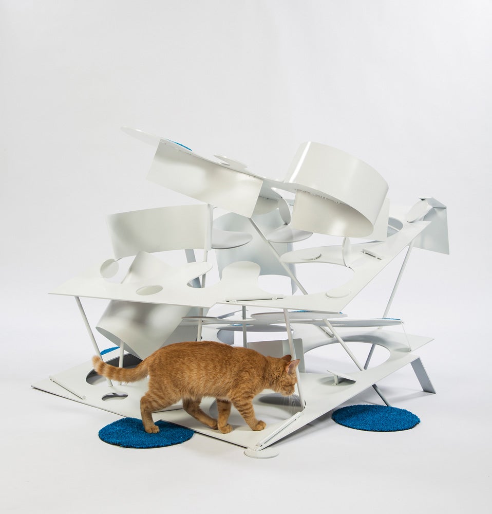 What Happens When You Let Architects Design Cat Houses - Fast Company