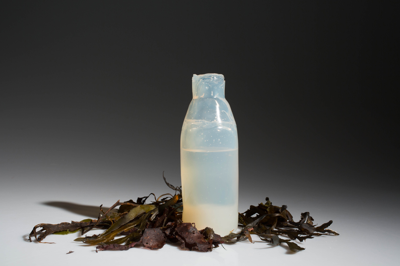 You Can Eat This Algae-Based Water Bottle When You're Done With Your ...