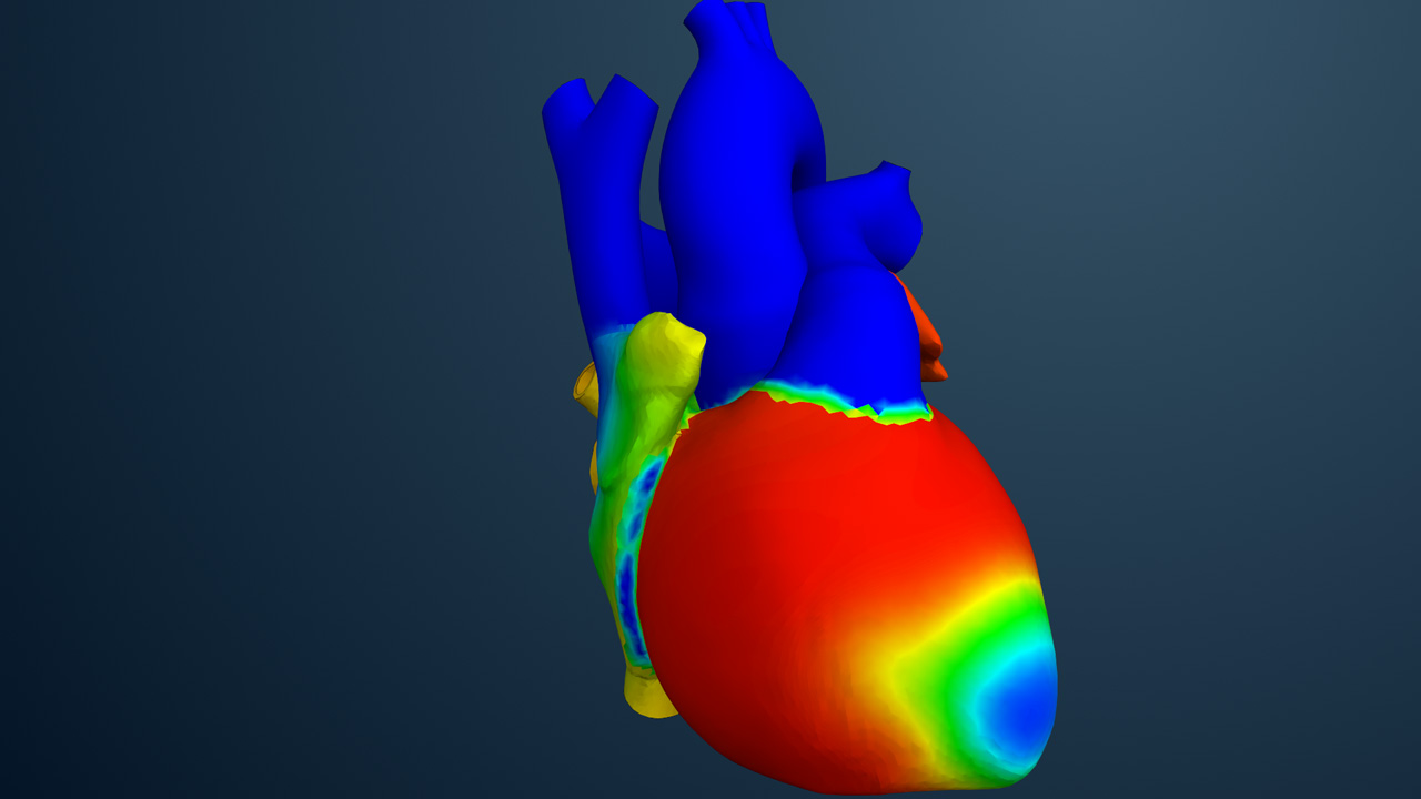 Exploring This Huge Virtual Heart Showed Me The Future Of Medicine ...