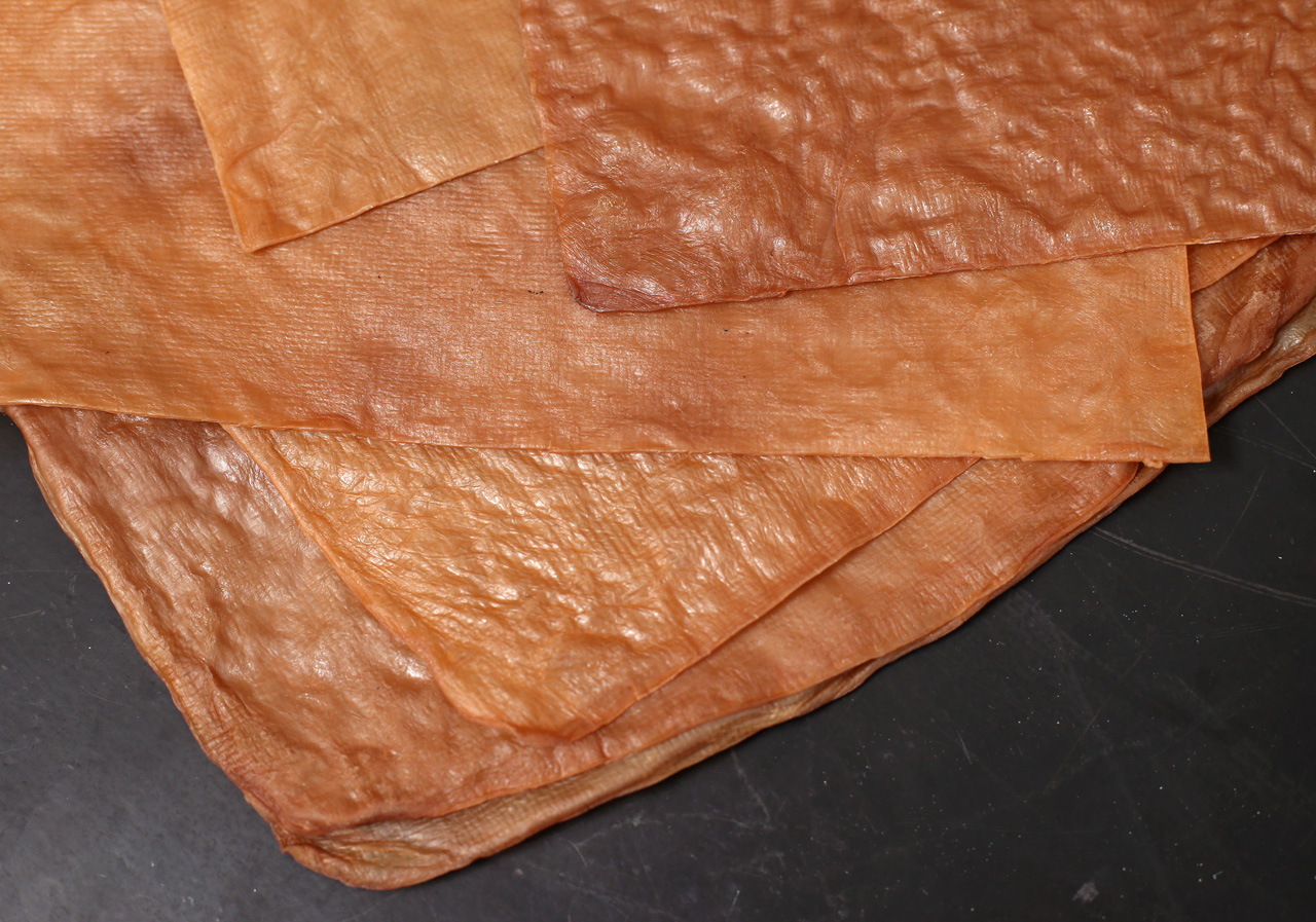 This Biodegradable Leather Is Made From Fermented Tea - Fast Company