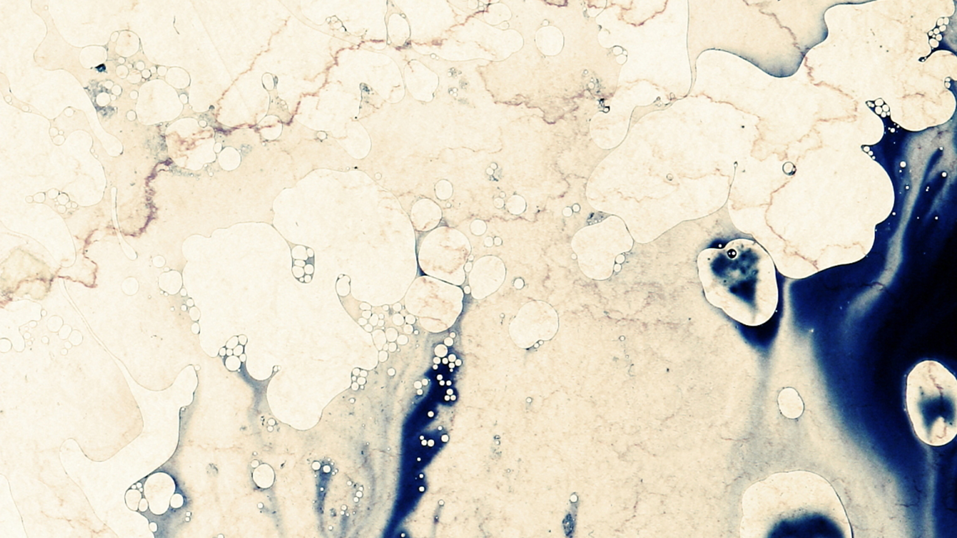 Extreme Poverty Is Declining, But We're Aiming Too Low - Fast Company