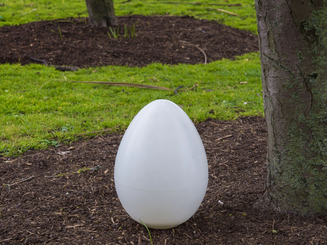 Instead Of A Coffin, Be Buried In A Biodegradable Pod That Helps Grow A ...