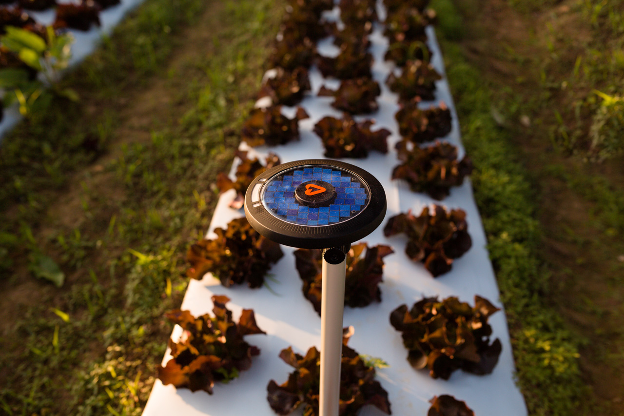 This Sensor Stick Fills A Knowledge Gap On The World's Poorest Farms ...