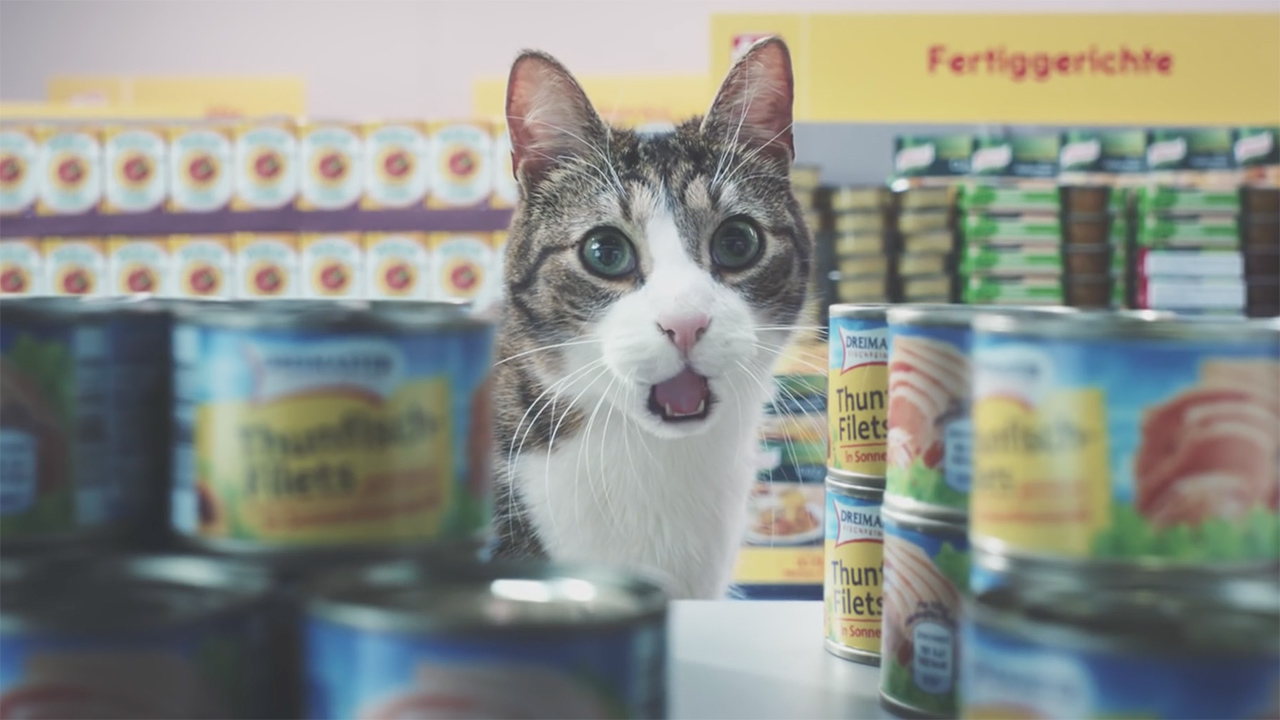 How To Make An Insanely Awesome German Supermarket Ad With Shopping ...