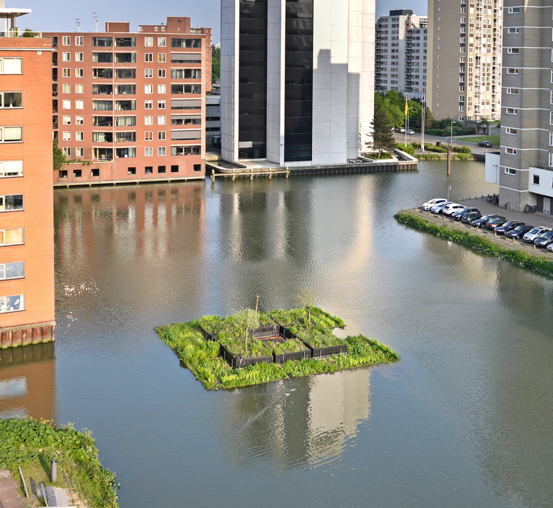 Experimental City: How Rotterdam Became A World Leader In Sustainable ...