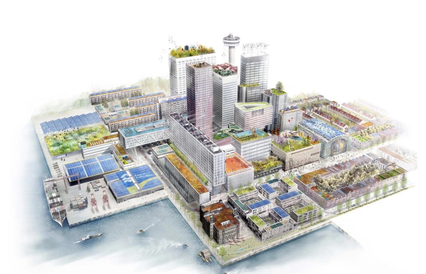 Experimental City: How Rotterdam Became A World Leader In Sustainable ...