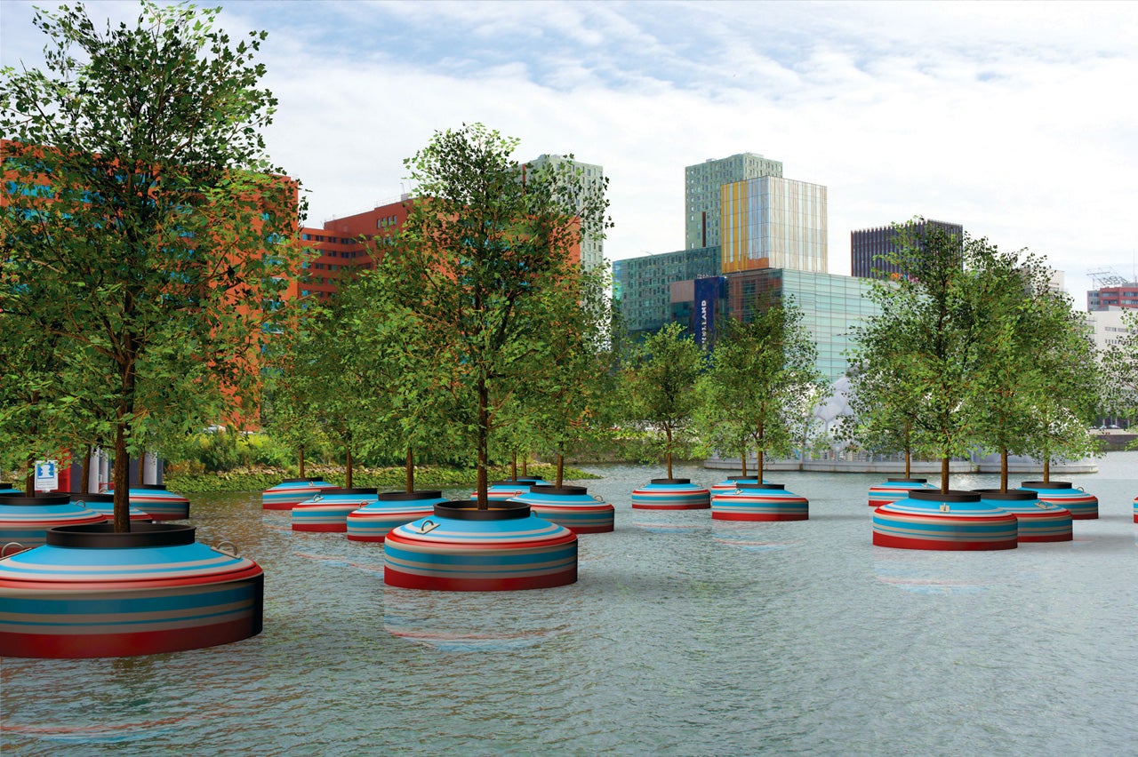 Experimental City: How Rotterdam Became A World Leader In Sustainable ...