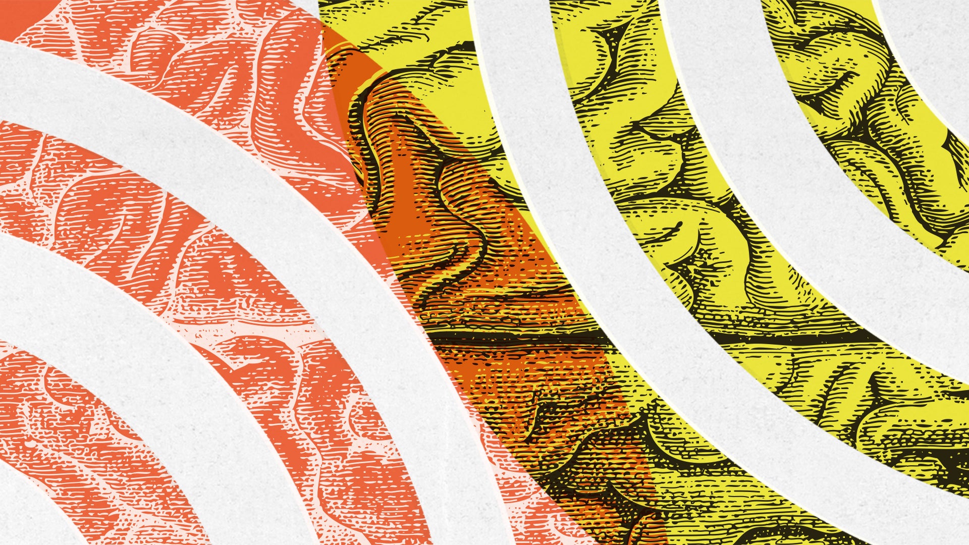 Brainjacking, Or How Hackers Can Remote Control Your Medical Implants ...