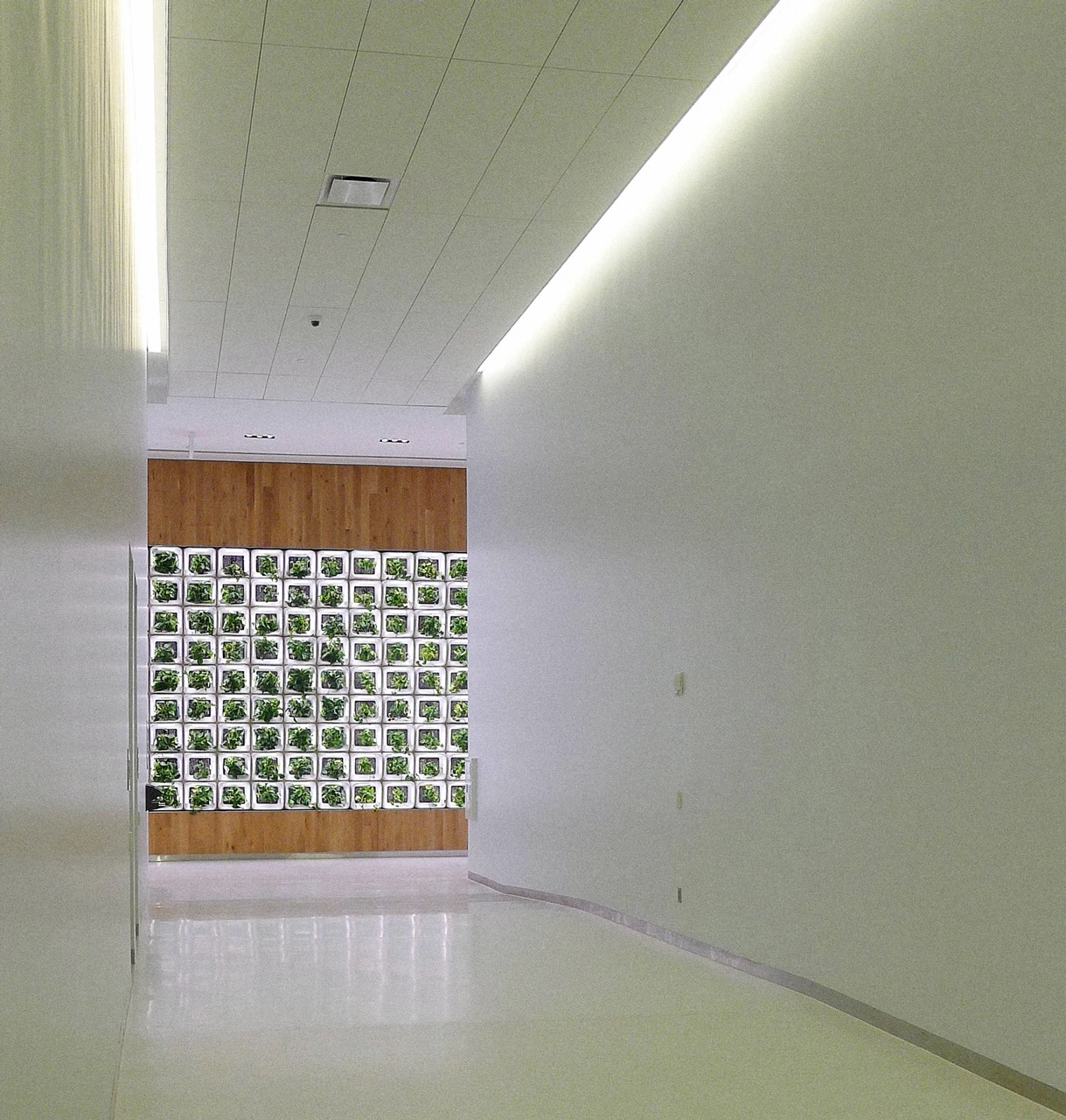 This Living Wall Cleans The Air Inside New York's New Emergency Center ...