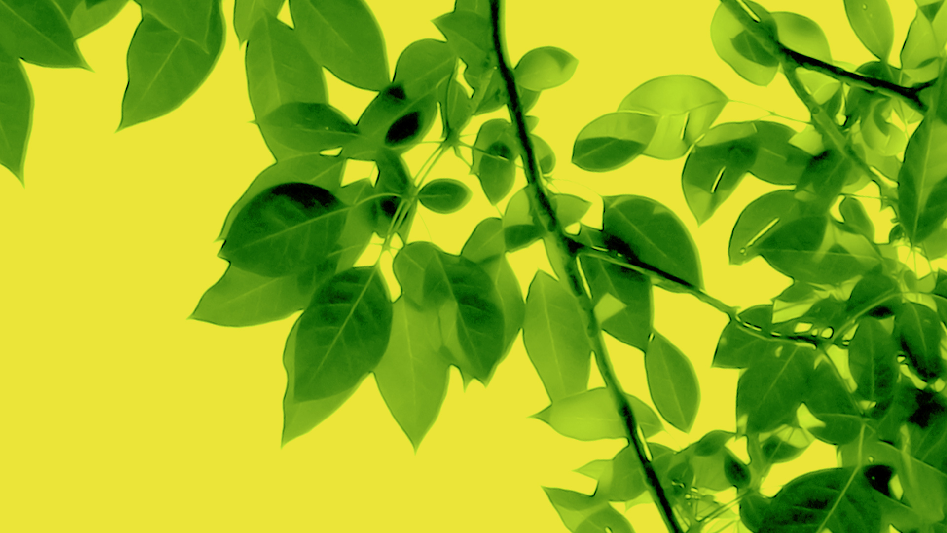 Rejuvenative Innovation Is The Key To Building A Flourishing Future ...