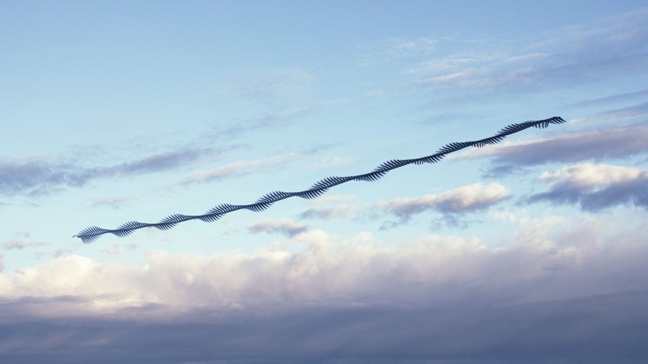 A 150-Year-Old Viz Trick Reveals The Beauty Of Airborne Birds - Fast ...