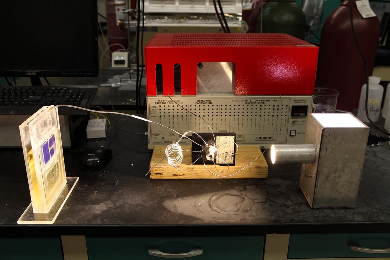 A New Artificial Leaf Turns Sunlight And CO2 Into Fuel More Efficiently ...