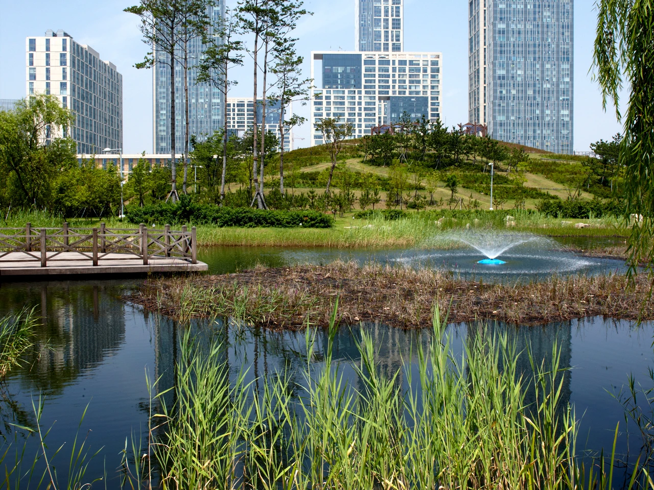 Inside Songdo, The City Designed From Scratch To Be Sustainable - Fast ...