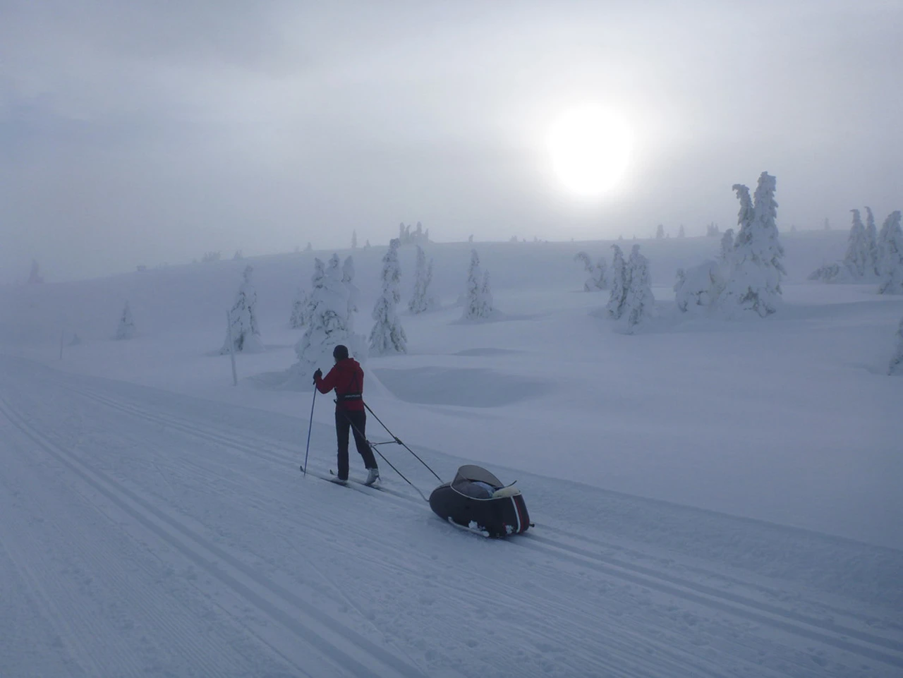 This Danish Kid-Carrying Bike Sidecar May Be The Most Scandinavian ...