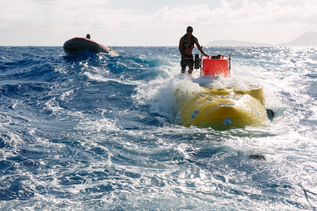 We Should Be Preserving The Oceans Like They Were National Parks - Fast ...