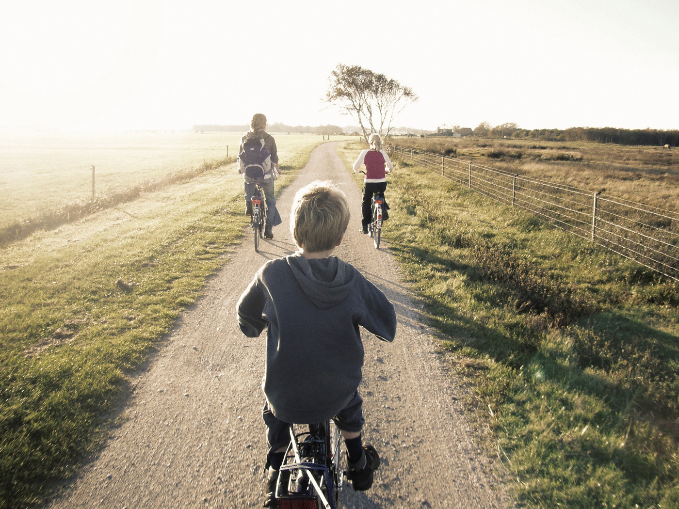 Why Are Dutch Kids So Much Happier Than American Kids? - Fast Company