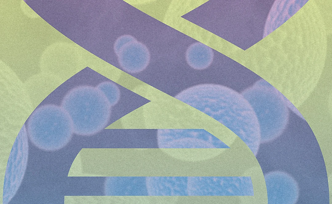 A Guide To The $13.4 Billion Biodesign Industry - Fast Company