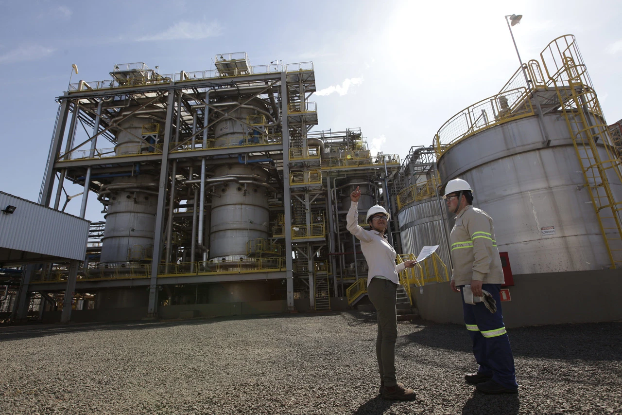 Hope You Like Algae, Because It's Going To Be In Everything You Eat ...