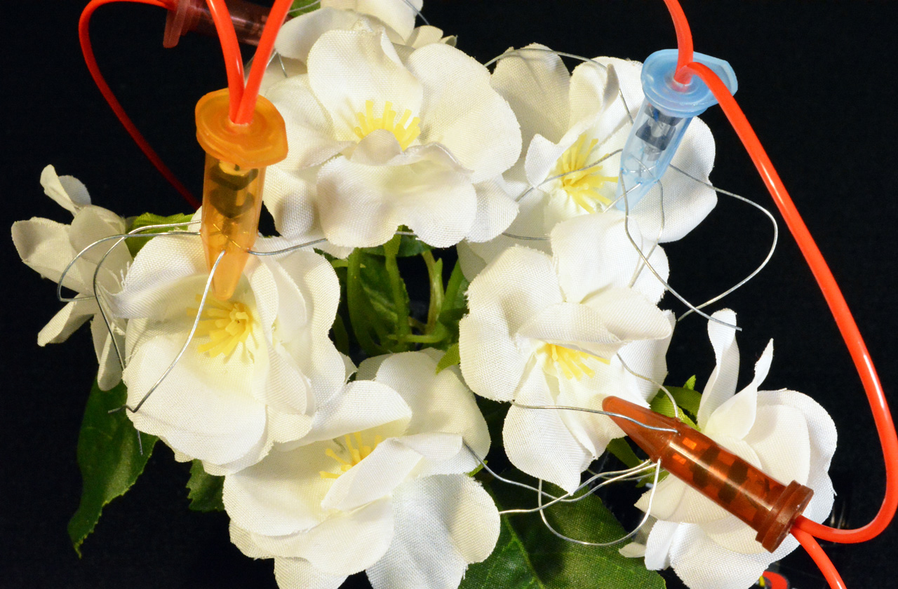 Sex Toys For Flowers, Drone Guides For Birds: Reciprocal Biomimicry ...