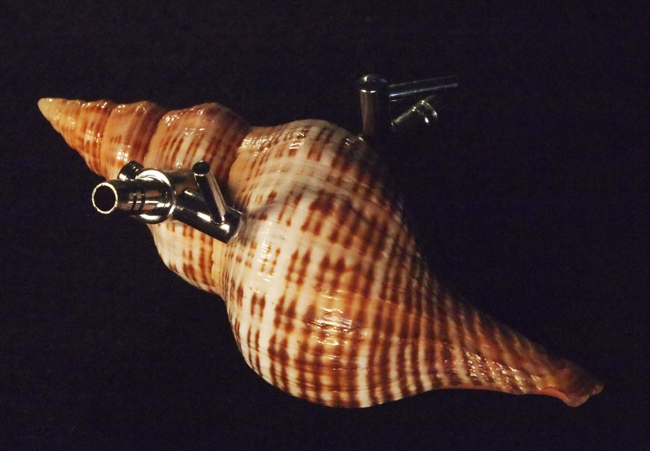 Sex Toys For Flowers, Drone Guides For Birds: Reciprocal Biomimicry ...