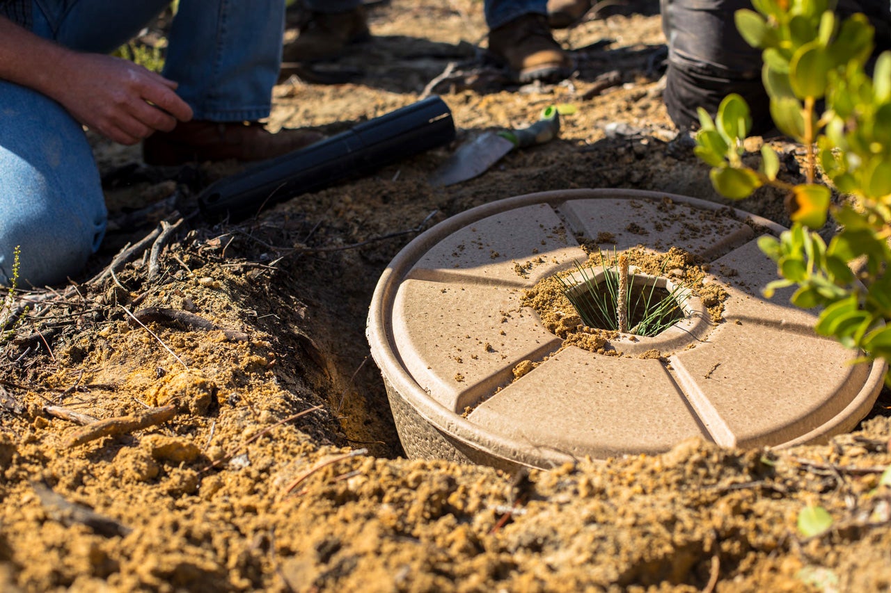 This Biodegradable Paper Donut Could Let Us Reforest The Planet - Fast ...